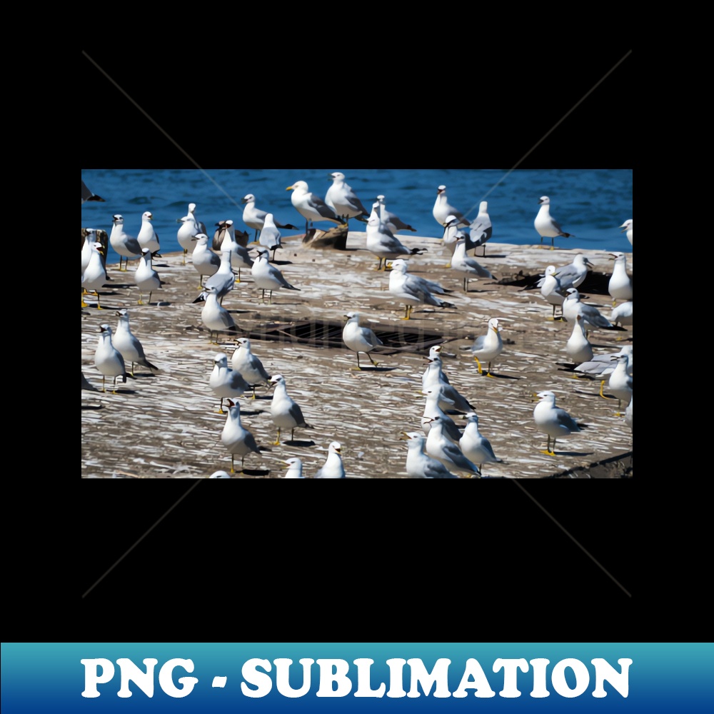 A Flock Of Gulls Standing On A Dock - Instant PNG Sublimatio | Inspire ...