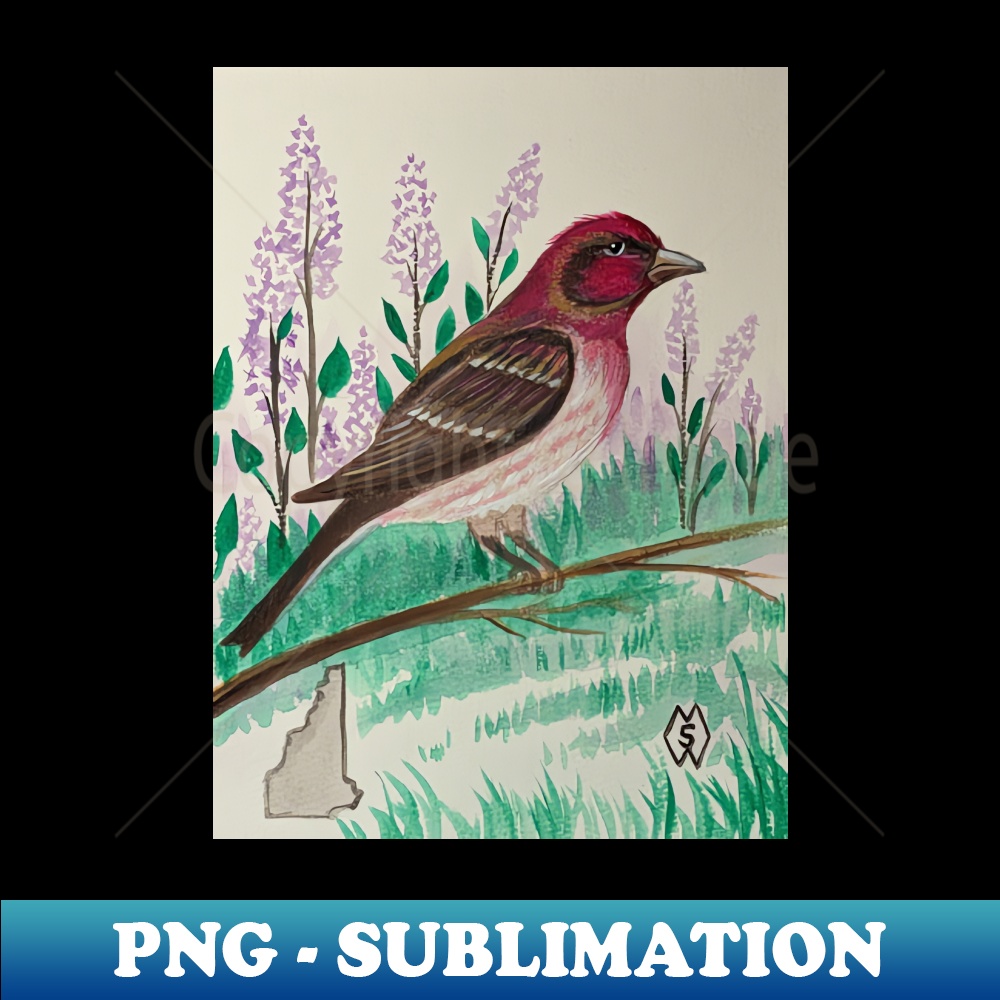 New Hampshire state bird and flower the purple finch and pur | Inspire ...