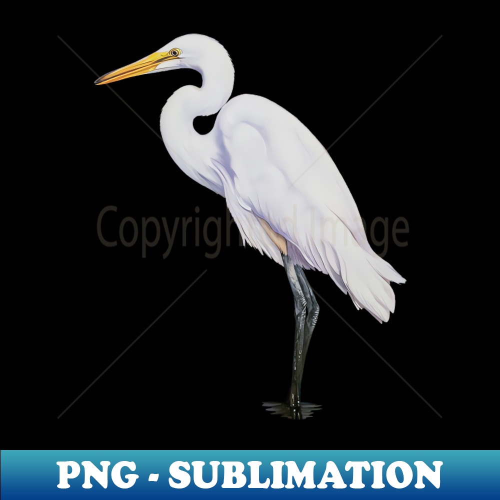 Great White Egret Painting no background - Unique Sublimatio | Inspire ...
