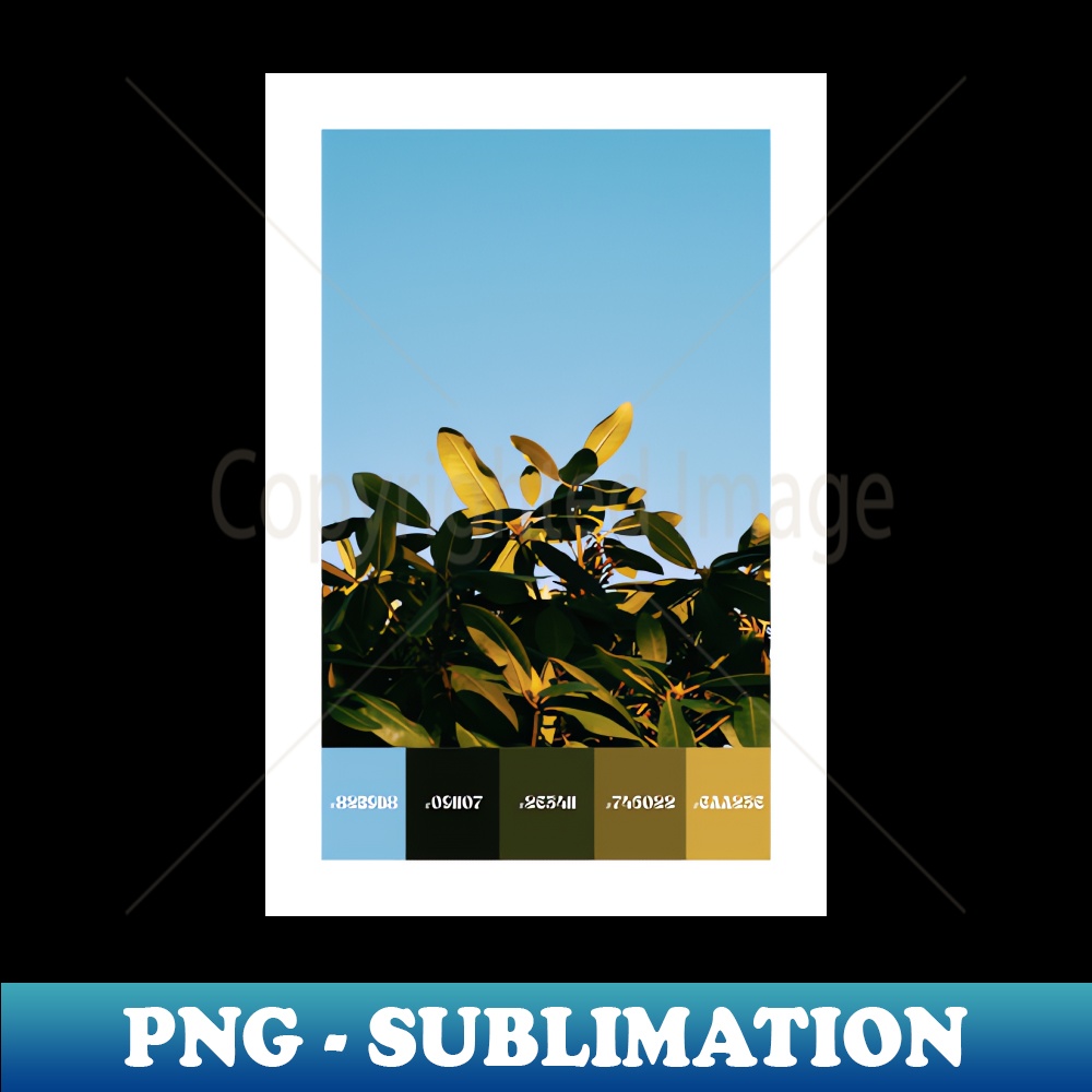 Mid-Winter Sunlight Color Palette Rectangles - PNG Transpare | Inspire ...