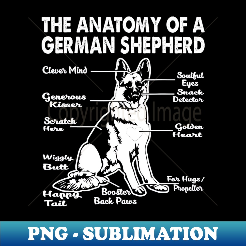 The Anatomy Of A German Shepherd - High-Resolution PNG Subli | Inspire ...