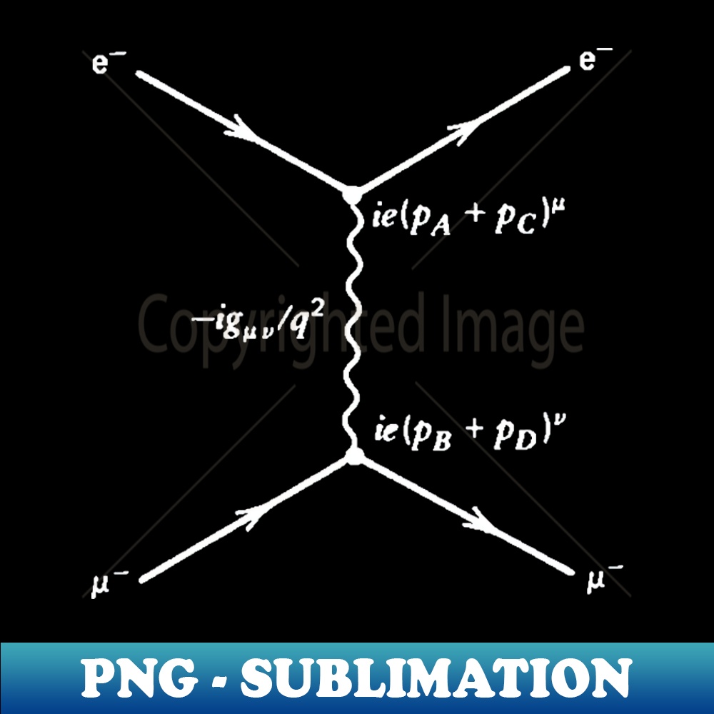 Feynman diagram electron muon scattering dark version - Prof | Inspire ...