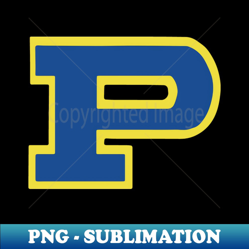 Friday Night Lights Dillon Panthers Logo T-Shirt - Digital S | Inspire ...