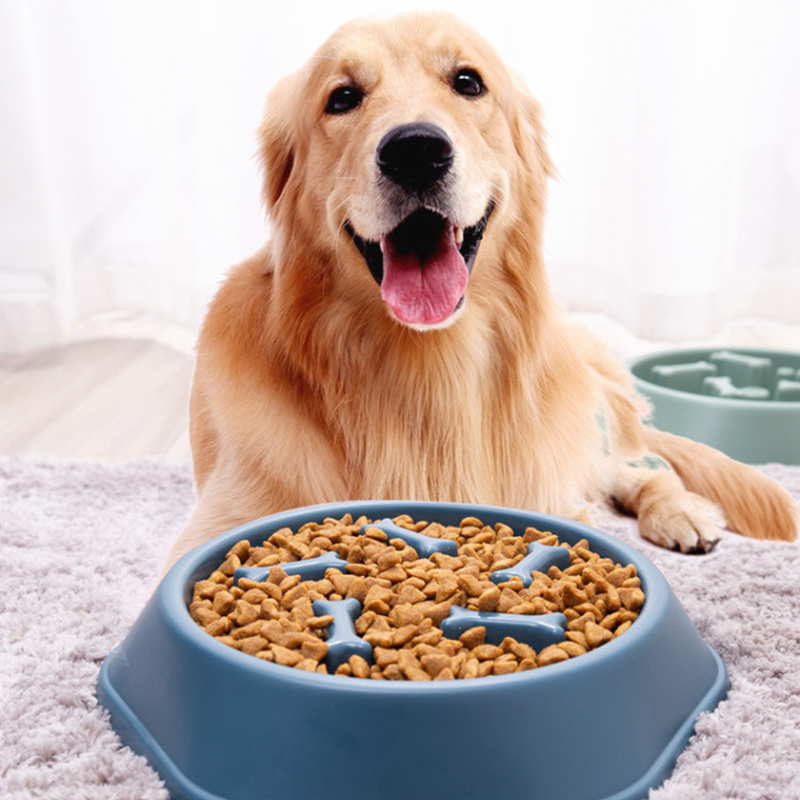 Pet Slow Food Bowl Anti-choking Feeder Plastic Dish Bowl Hom | Inspire ...