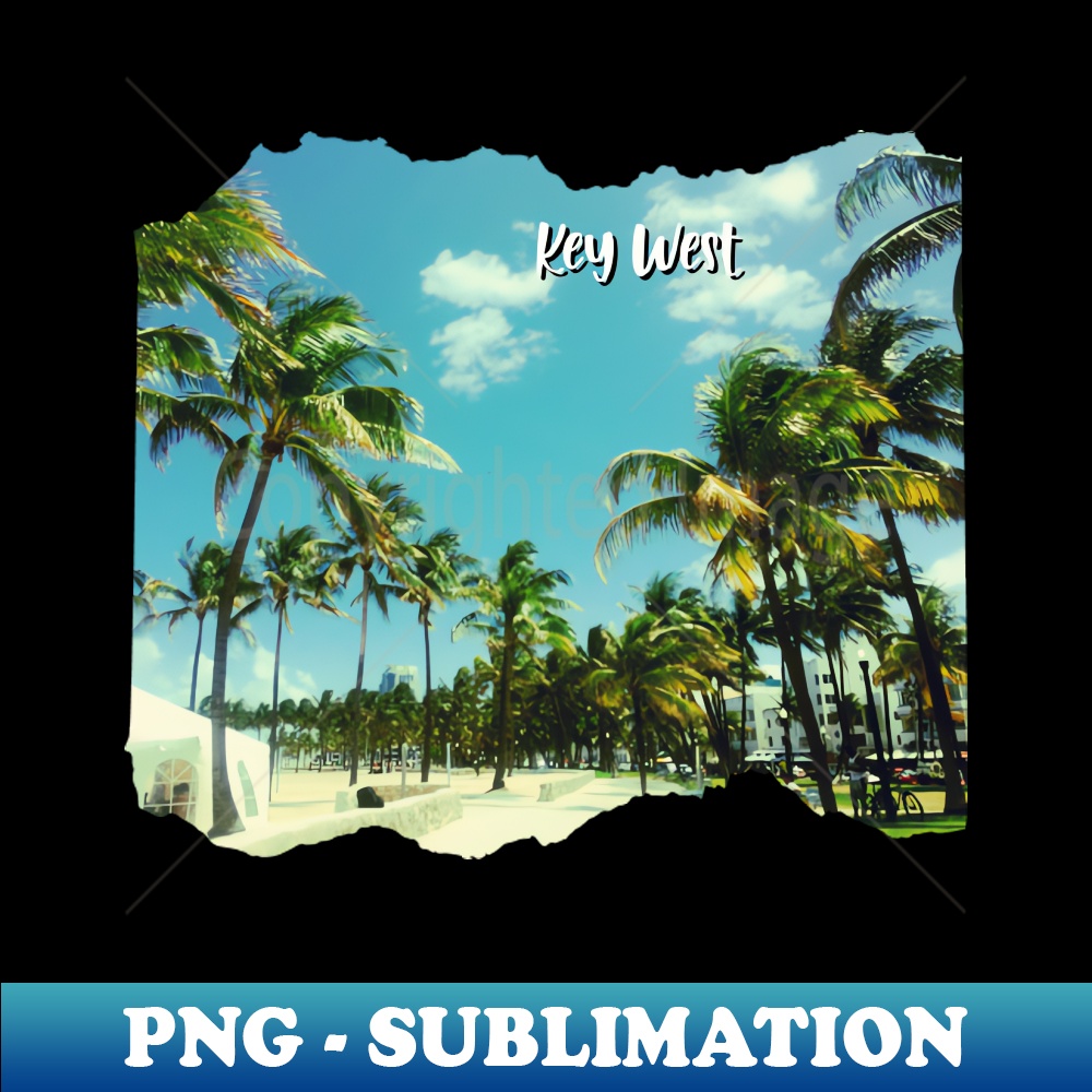 Beautiful photography of Key West Florida blue sky palm tree | Inspire ...