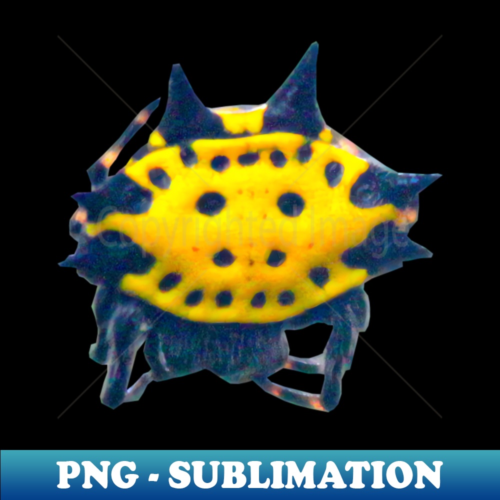 Yellow Spiky Orb Weaver - PNG Transparent Digital Download F | Inspire ...