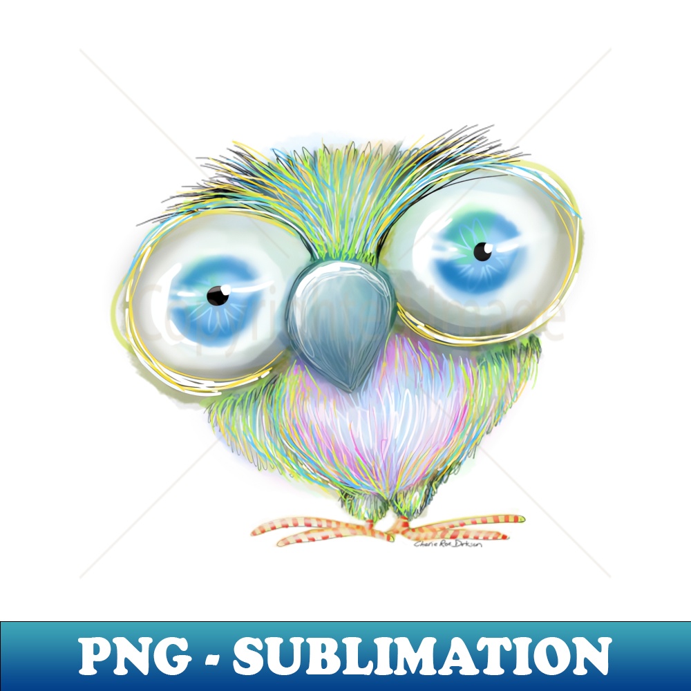 Burt the Big-Eyed Bird - High-Resolution PNG Sublimation Fil | Inspire ...