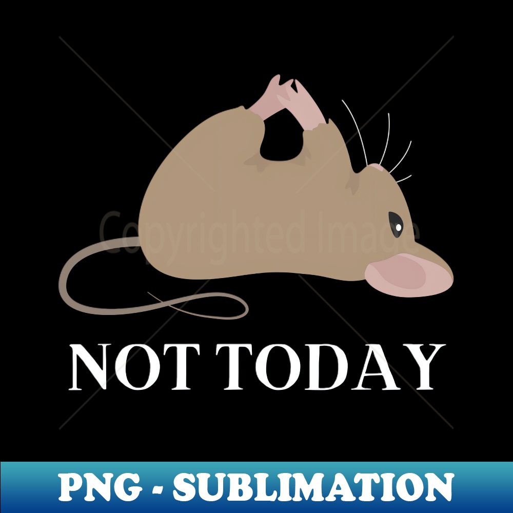 Lazy Mouse Nope not Today funny sarcastic messages sayings a | Inspire ...