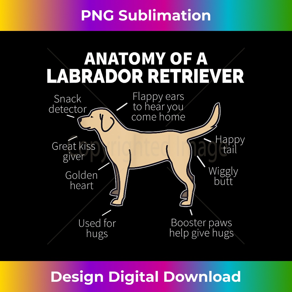 Labrador Shirt, Anatomy of a Labrador Retriever - Sophistica | Inspire ...