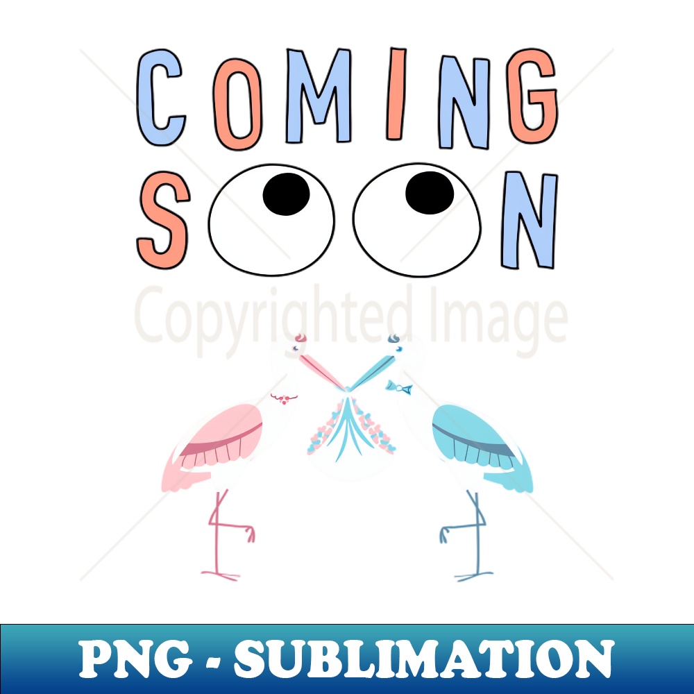 Mothers To Be New Moms Baby Announcement Cute Storks Coming | Inspire ...