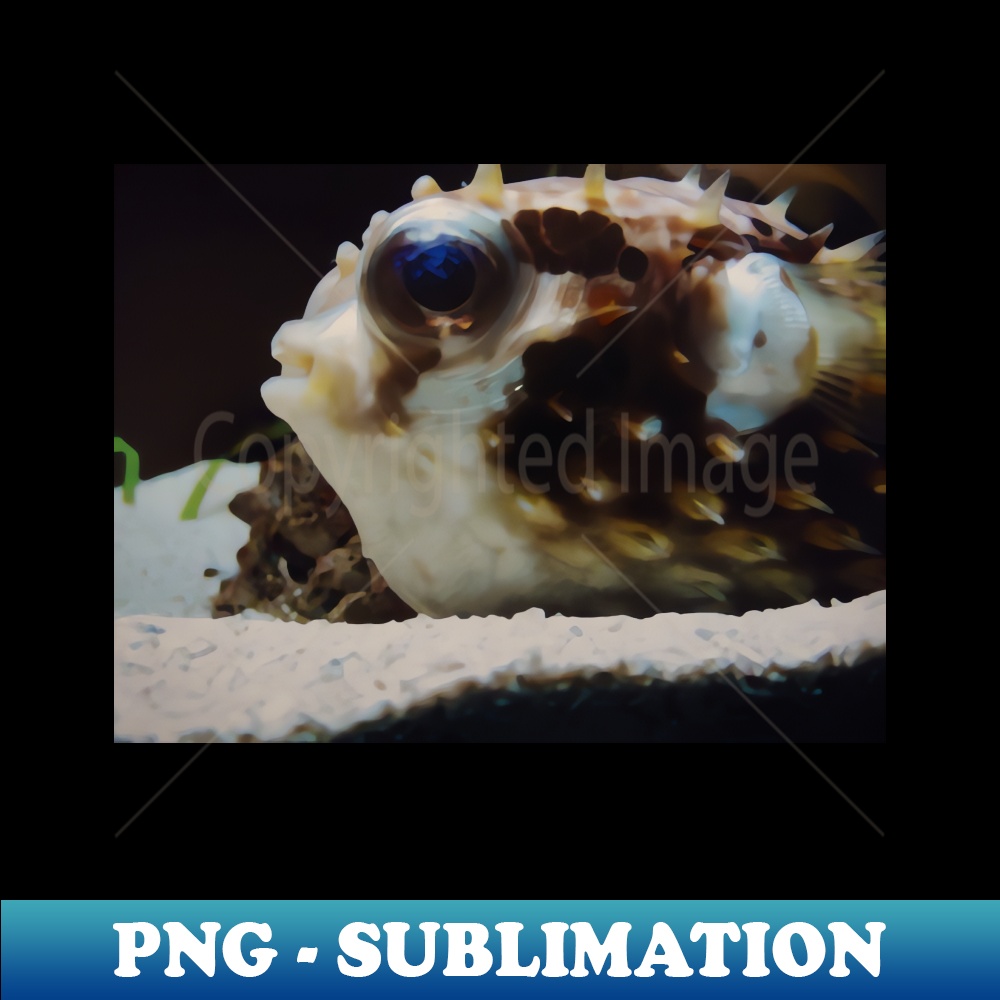 Peter the pufferfish - Professional Sublimation Digital Down - Inspire ...