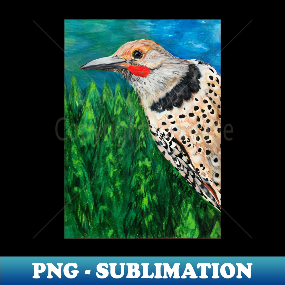 Northern Flicker Bird Drawing - Unique Sublimation PNG Downl | Inspire ...