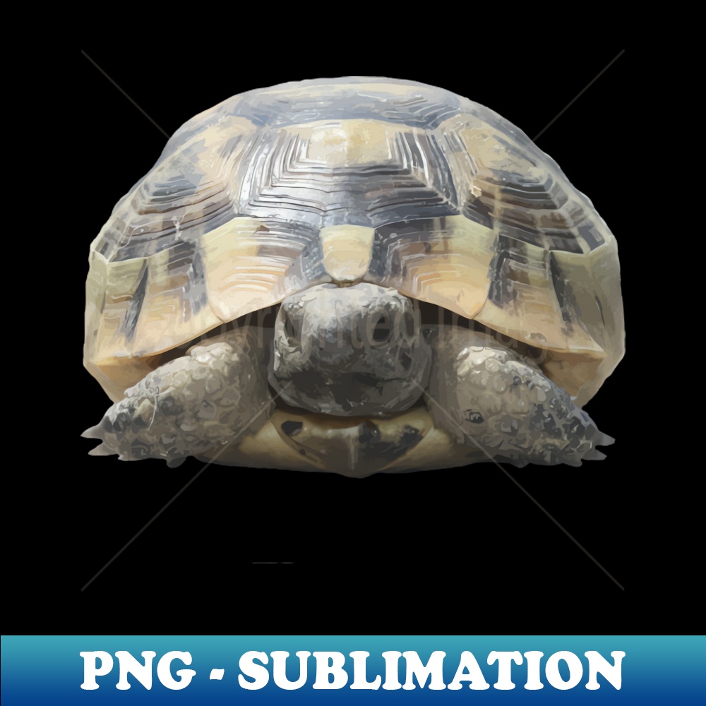 Greek Tortoise Testudo Tucked In Shell Cut Out - Unique Subl - Inspire ...