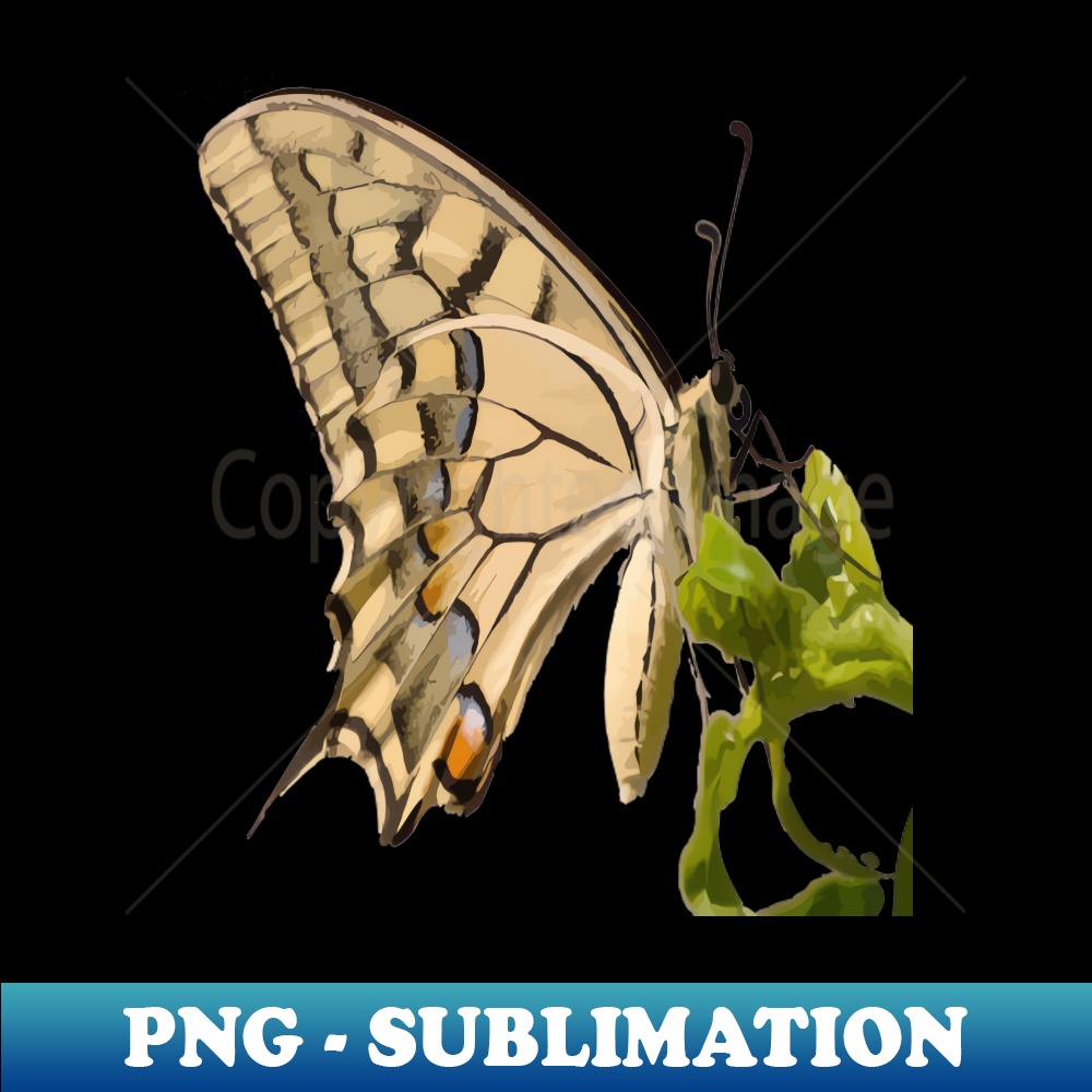 Swallowtail Butterfly Vector Isolated - Premium Sublimation | Inspire ...
