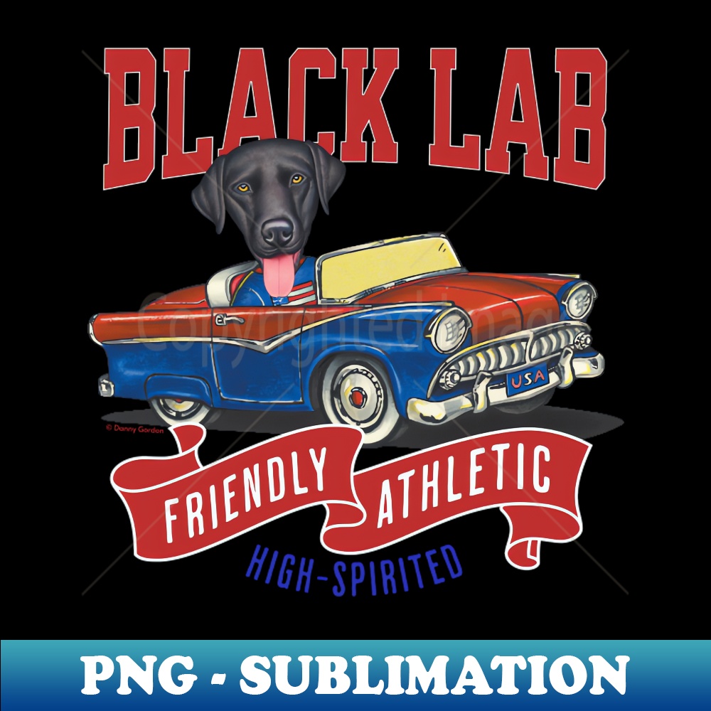 Humor cute funny black lab labrador retriever dog driving a | Inspire ...