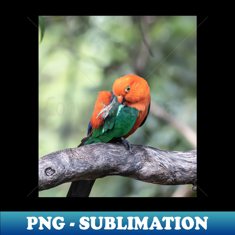 Have a Scratch - Instant PNG Sublimation Download - Defying | Inspire ...
