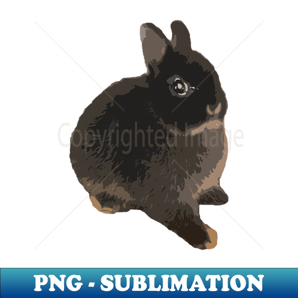 Binky Rabbit Black Otter Netherland Dwarf Rabbit - Signature - Inspire ...