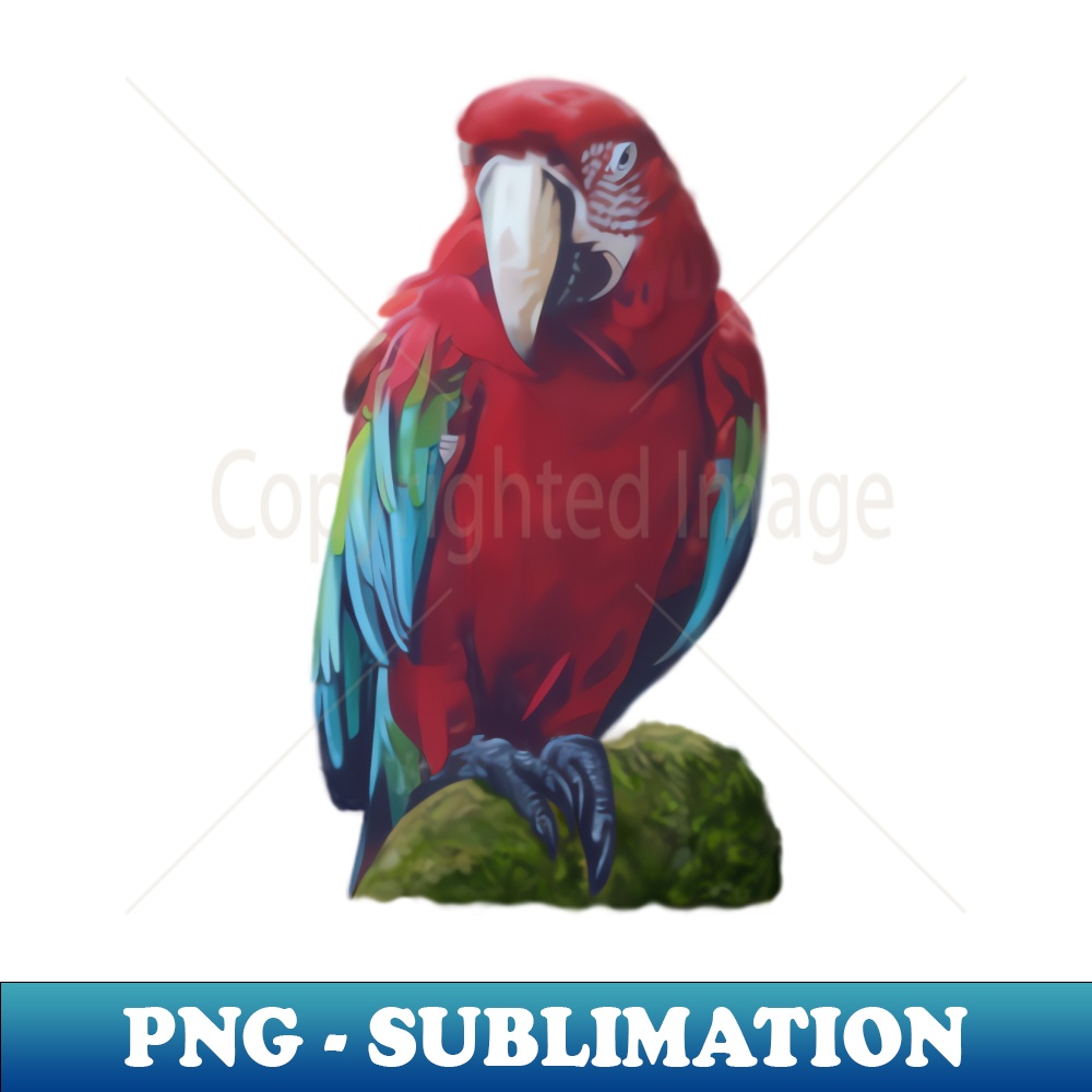 Scarlet Macaw - Digital illustration - Professional Sublimat | Inspire Uplift