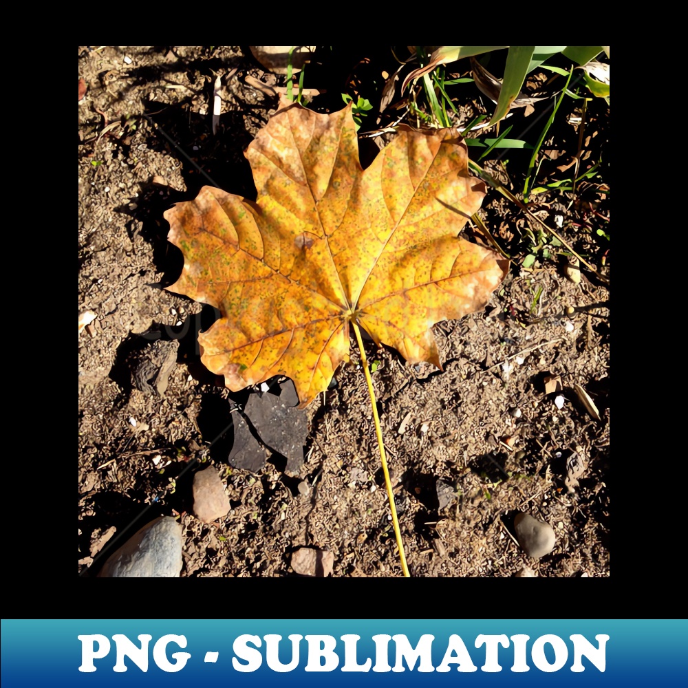 Golden Autumn Maple Leaf - Instant Sublimation Digital Downl | Inspire ...