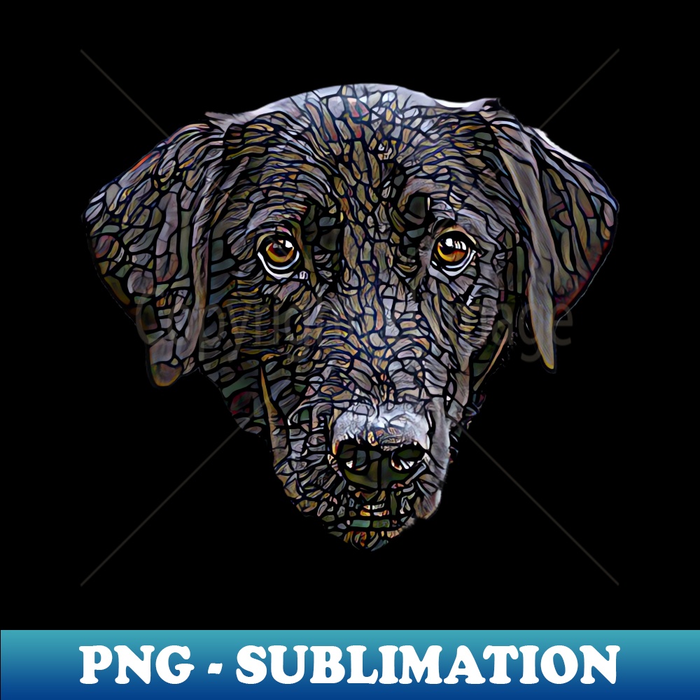 Black Labrador Retriever Face - PNG Transparent Digital Down | Inspire ...