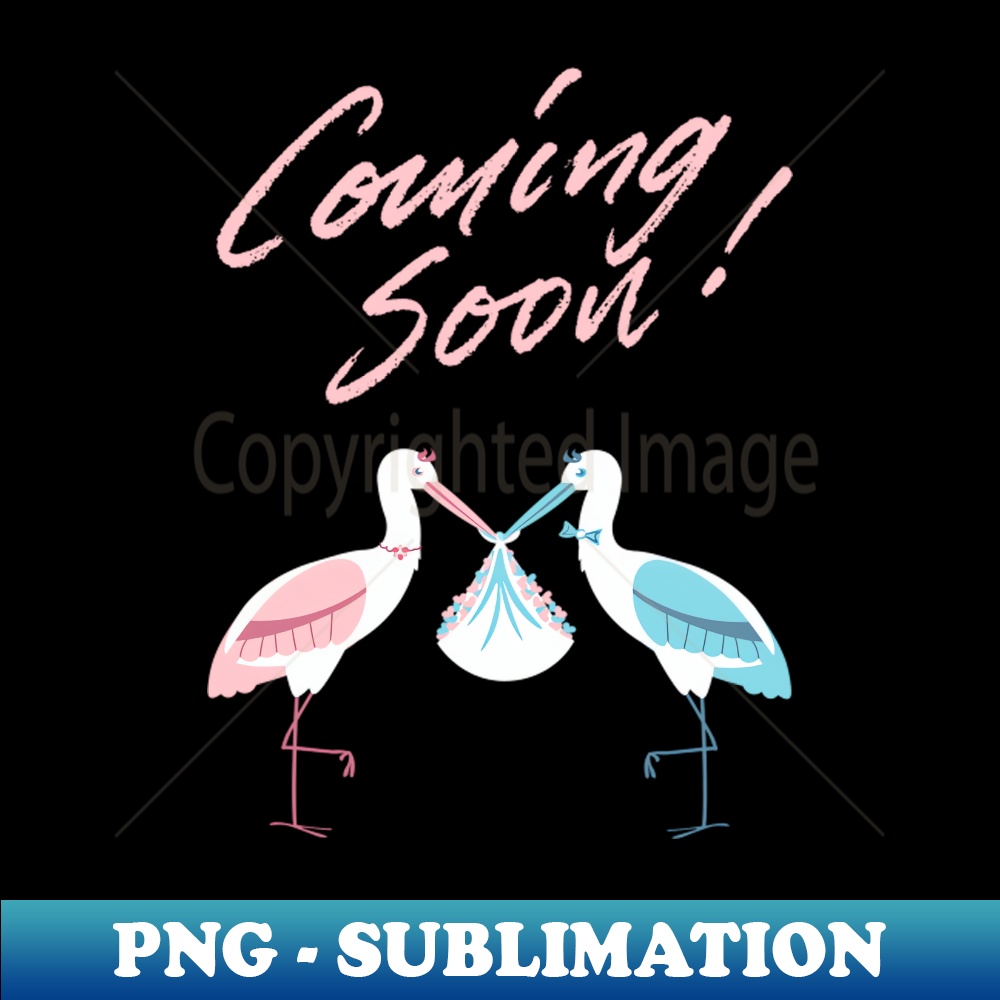 Mothers To Be New Moms Baby Announcement Cute Storks Coming | Inspire ...