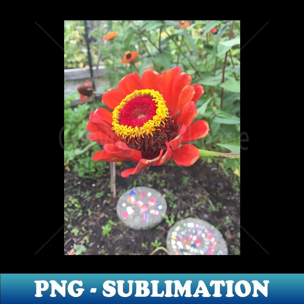 Red and Yellow Poppy - PNG Sublimation Digital Download - Re | Inspire ...