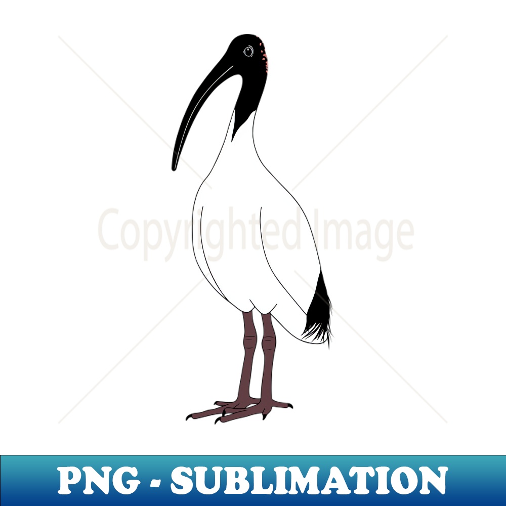 Bin Chicken - Sublimation-Ready PNG File - Capture Imaginati - Inspire ...