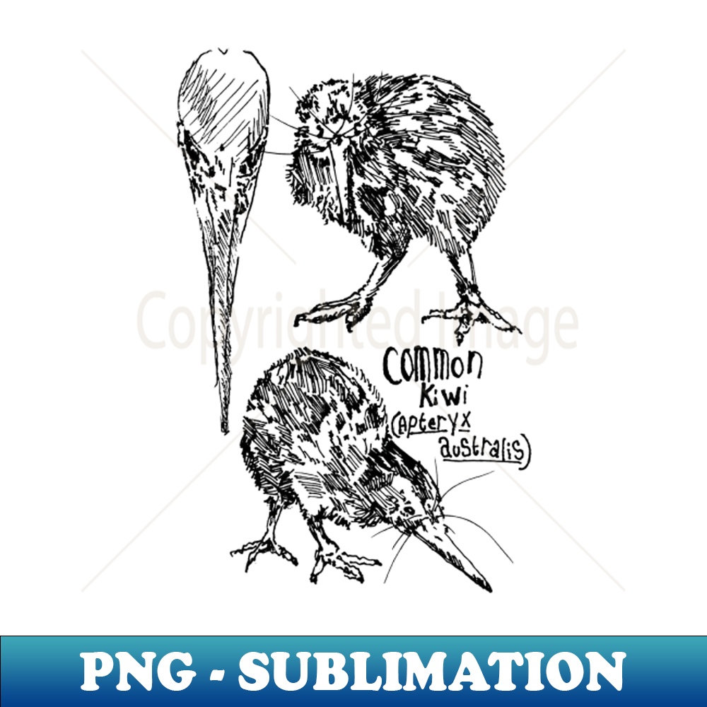 Kiwi Bird Anatomy - Creative Sublimation PNG Download - Fash | Inspire ...