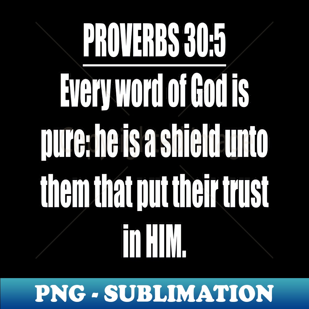 PROVERBS 305 KJV Bible Verse - Aesthetic Sublimation Digita | Inspire ...