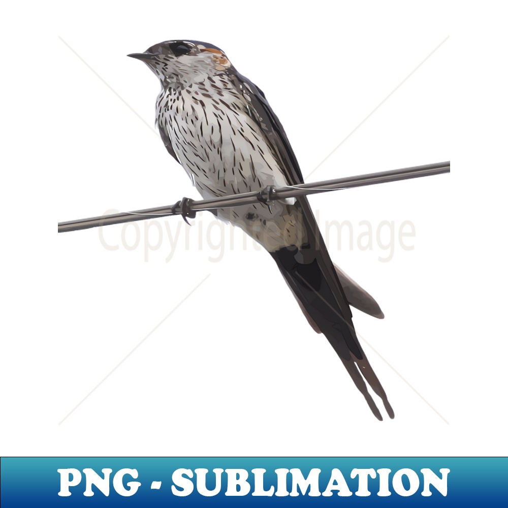 Bird On A Wire Red-Rumped Swallow Vector Art - Sublimation-R | Inspire ...