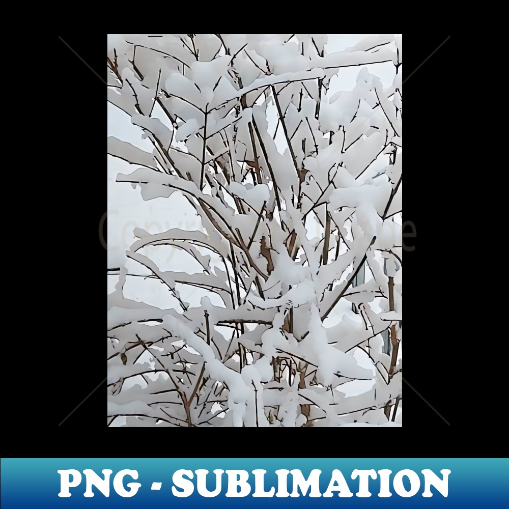 Snow covered bush in my yard - Stylish Sublimation Digital D | Inspire ...