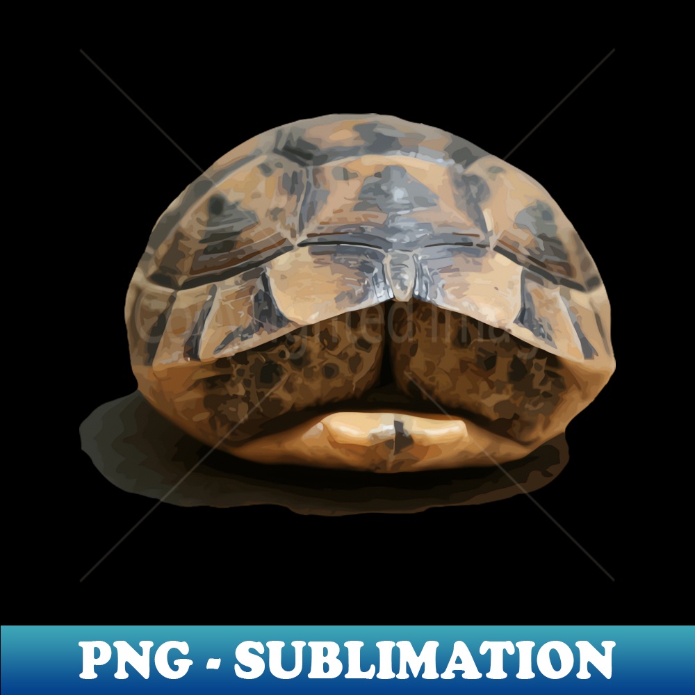 Tortoise Tucked In Vector Art Cut Out - Instant Sublimation | Inspire ...