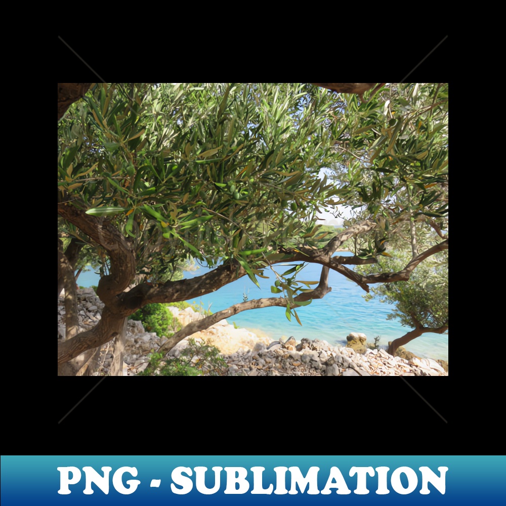 Mediterranean Sea Coast with Olive Tree Photo - Creative Sub | Inspire ...