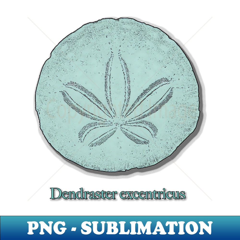 Mint Green Sand Dollar Seashell Design - Unique Sublimation | Inspire ...