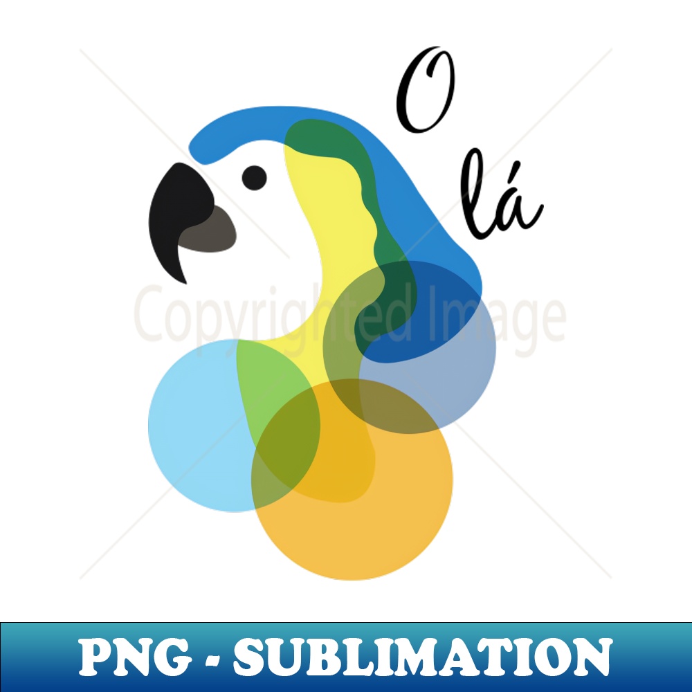 Ol - Hello in Brazil - Retro PNG Sublimation Digital Downloa | Inspire ...