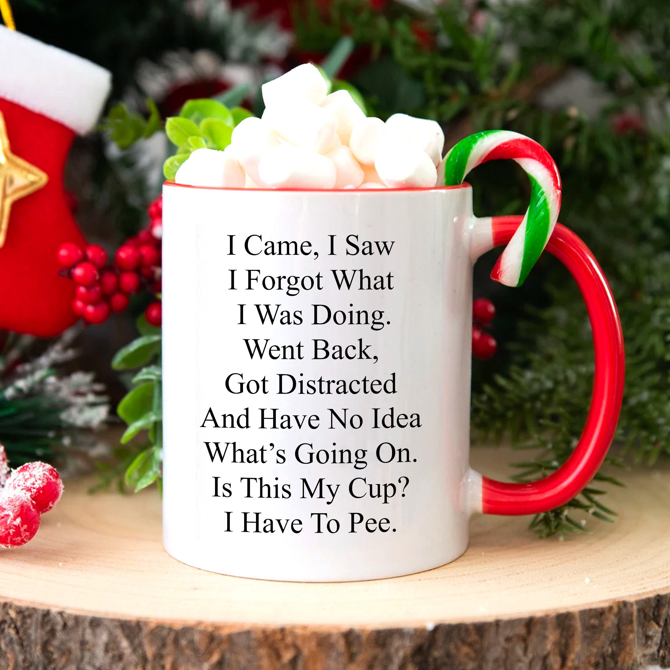 I Came I Saw, I Have to Pee Coffee Mug | Inspire Uplift