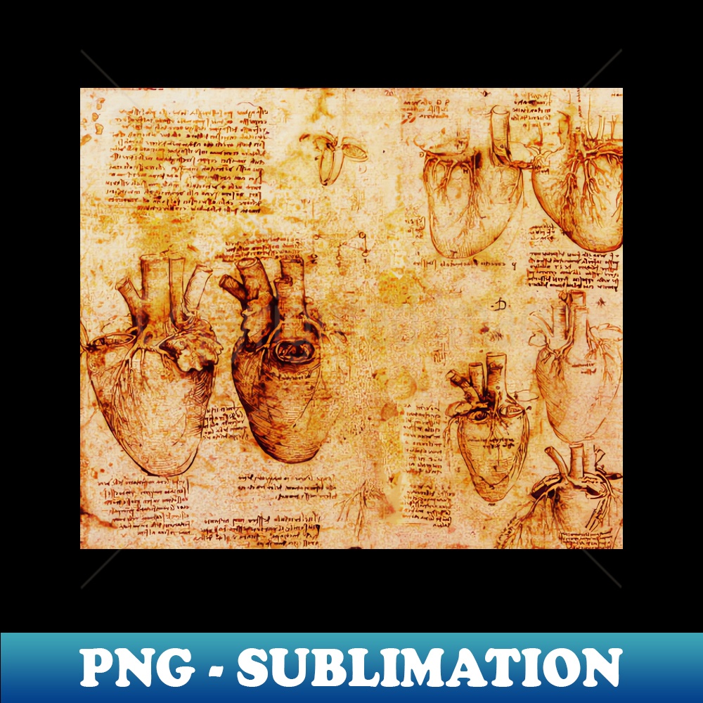 Heart And Its Blood Vessels Leonardo Da Vinci Anatomy Drawin | Inspire ...