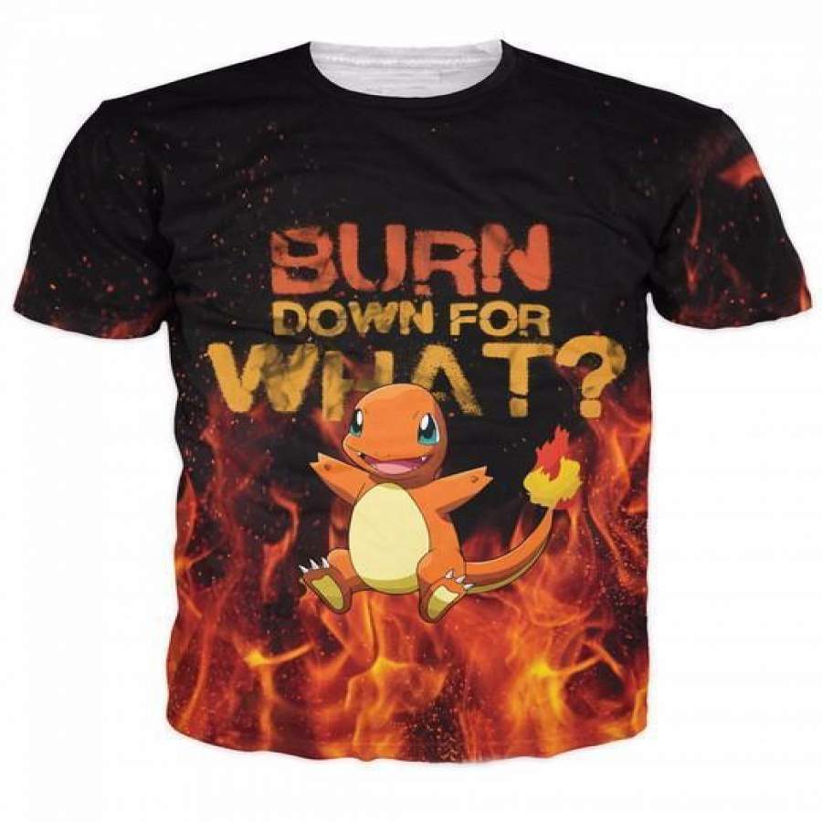 Burn Down For What Pokemon Go Charmander Fire Flames 3D Prin | Inspire ...