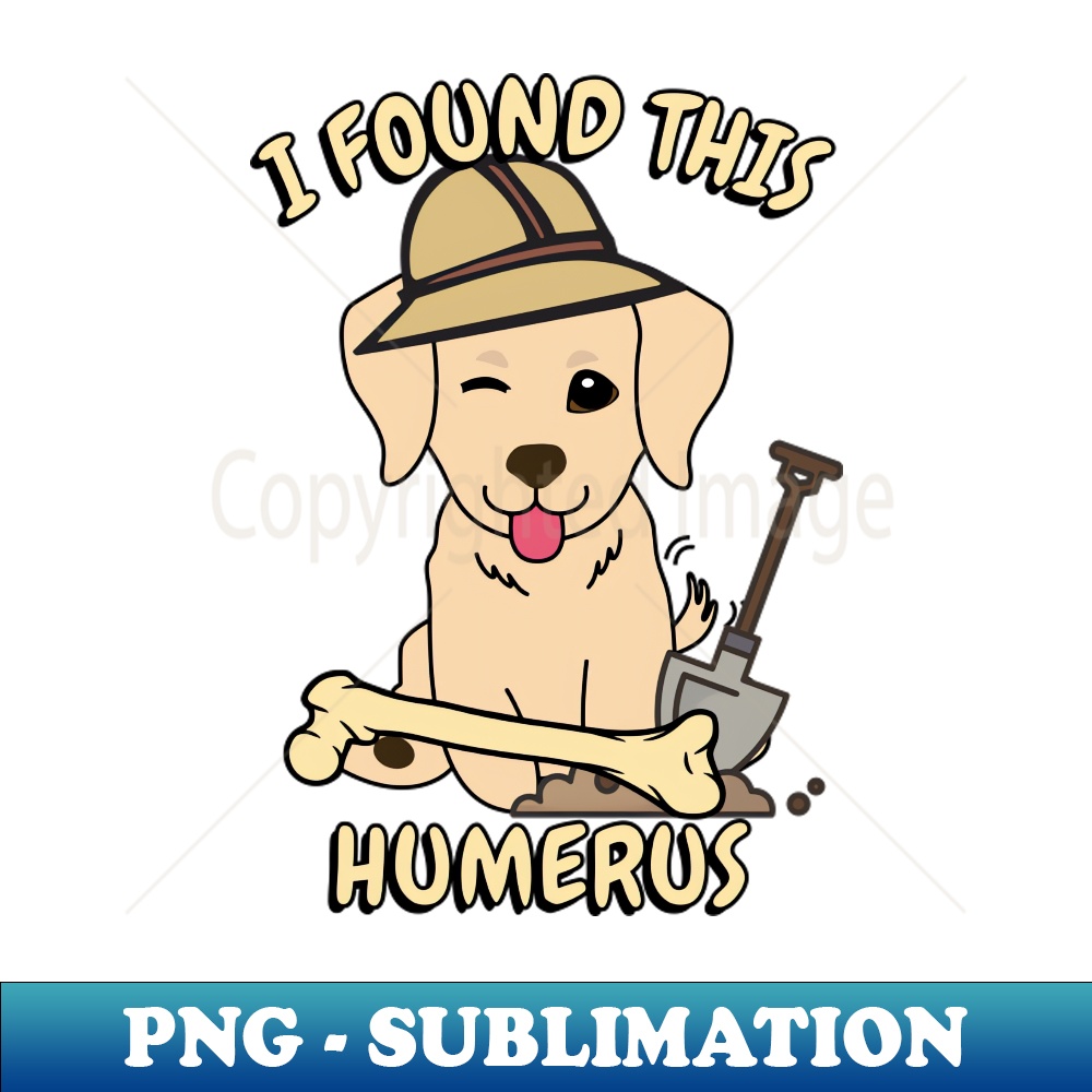 Funny golden retriever is an archaeologist - Exclusive PNG S | Inspire ...