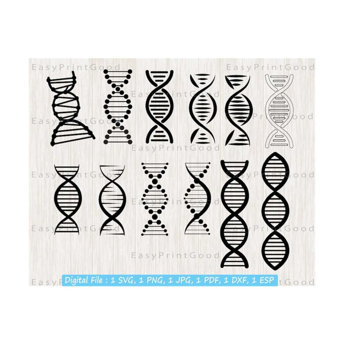 Dna Strand Svg | Inspire Uplift
