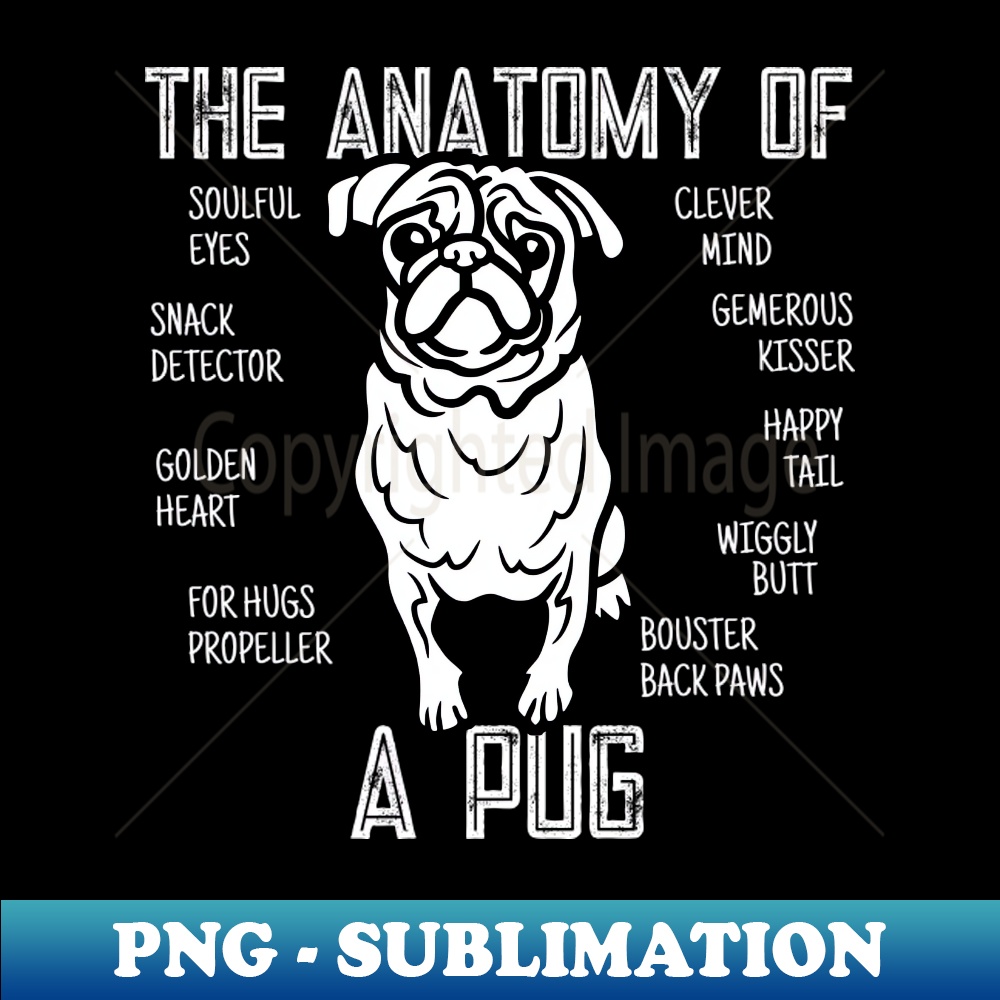 The anatomy of a pug - Elegant Sublimation PNG Download - Cr - Inspire ...