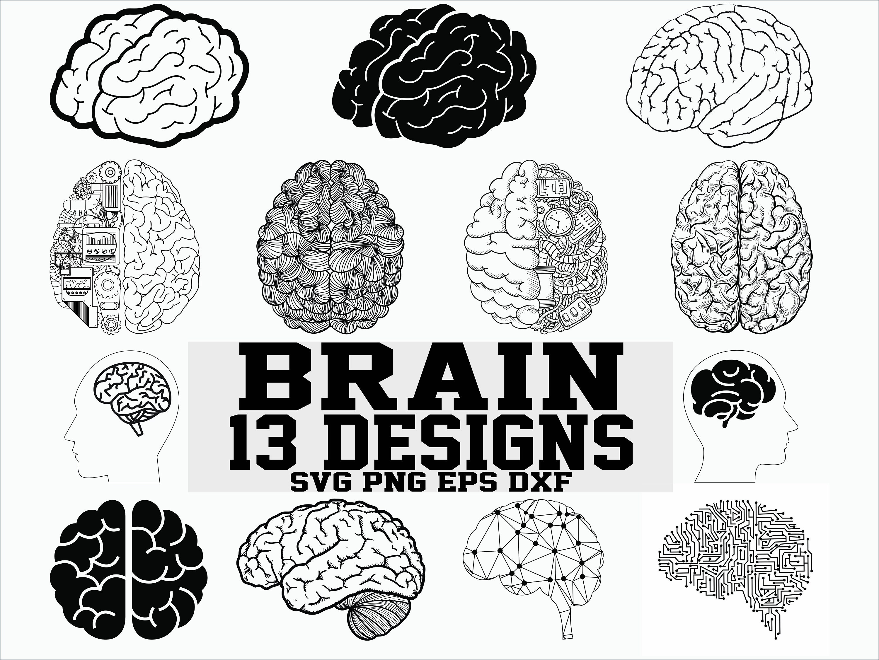 Brain svg, human brain svg, organ svg, clipart - Inspire Uplift