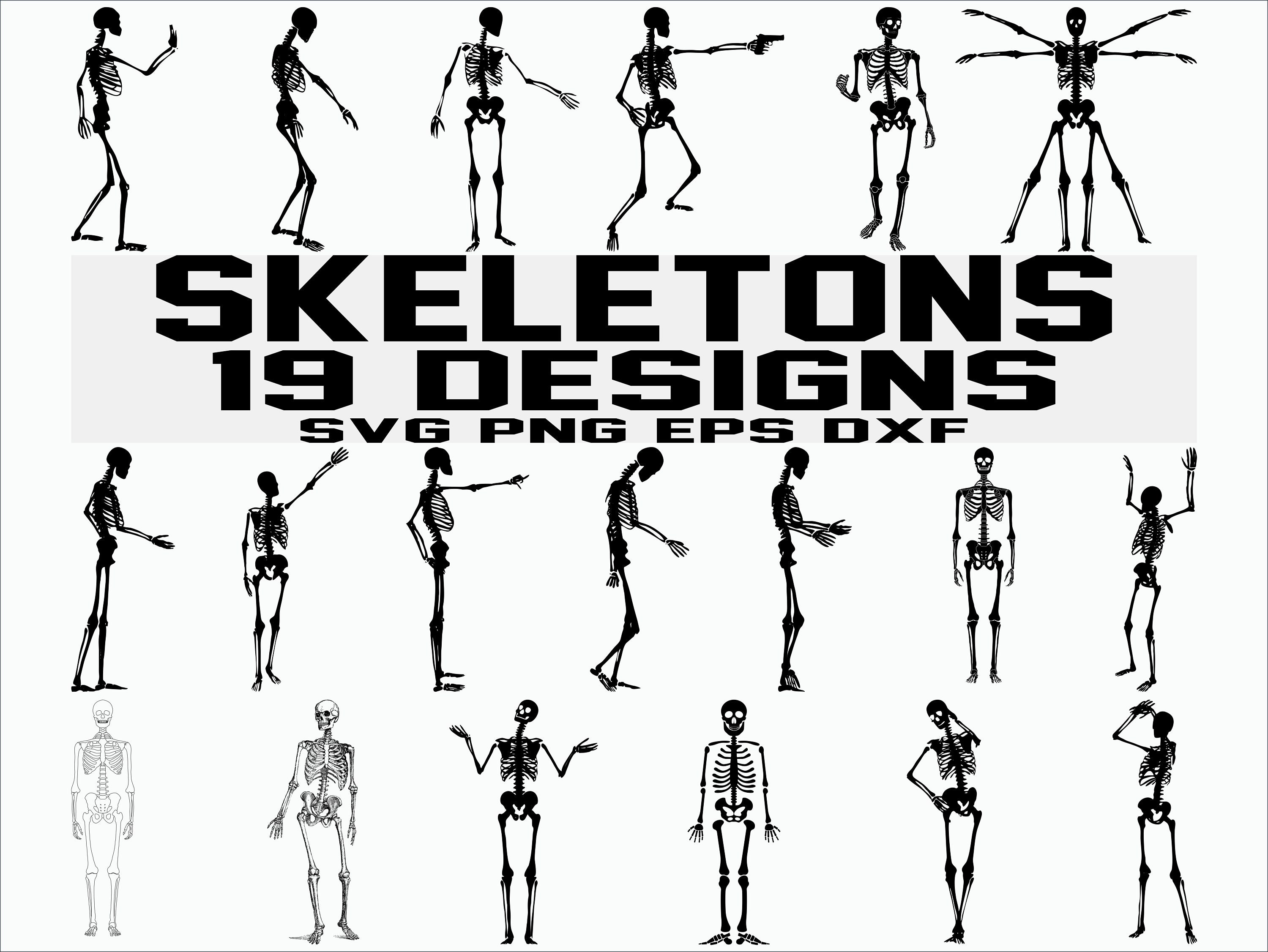 Skeleton SVG, Skeleton bones svg, halloween svg, cut files | Inspire Uplift