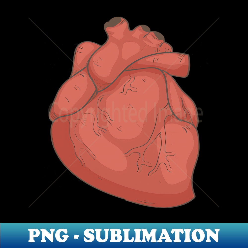 Heart Anatomy - Exclusive PNG Sublimation Download - Perfect | Inspire ...