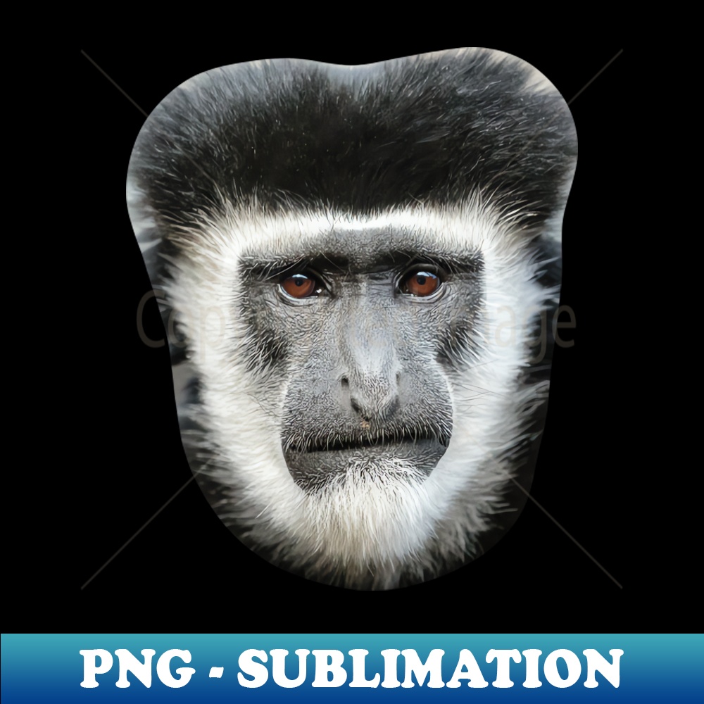 Expressive face of a Colobus monkey - Exclusive PNG Sublimat | Inspire ...