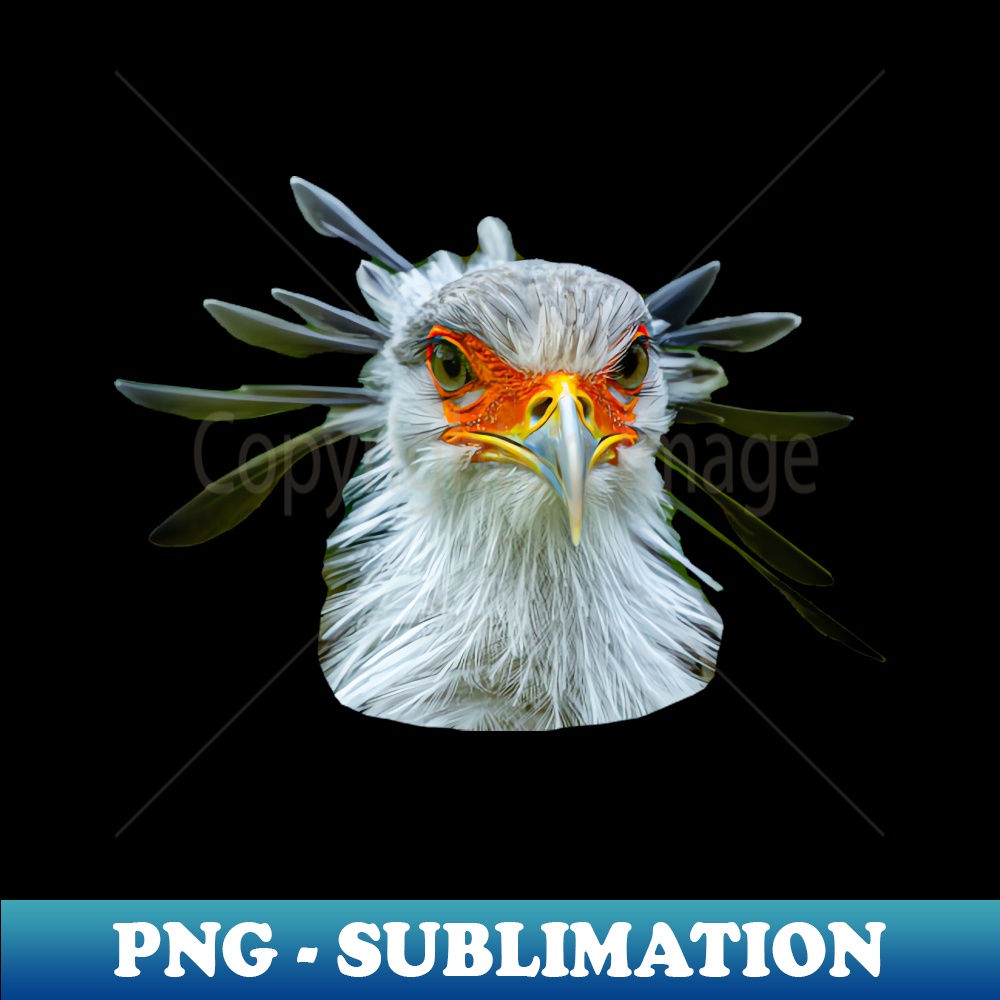 Secretary Bird - PNG Transparent Sublimation Design - Perfec - Inspire ...