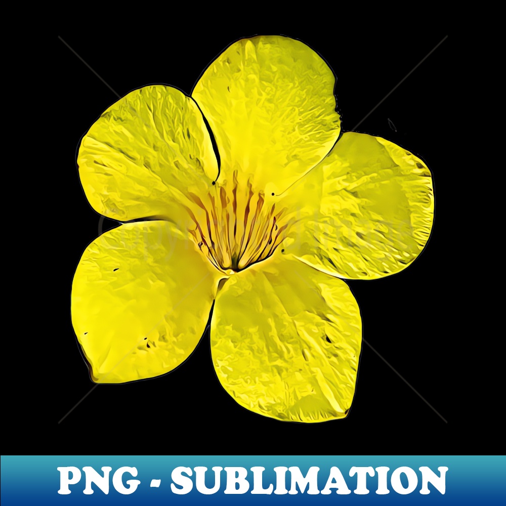 Official Flower Bahamas Yellow Elderflower Tecoma Stans Patt | Inspire ...