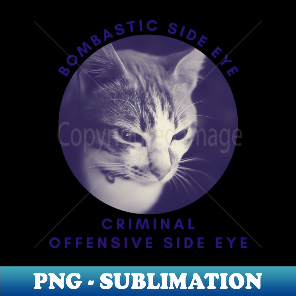 Bombastic side eye Criminal offensive side eye - Vintage Sub | Inspire ...