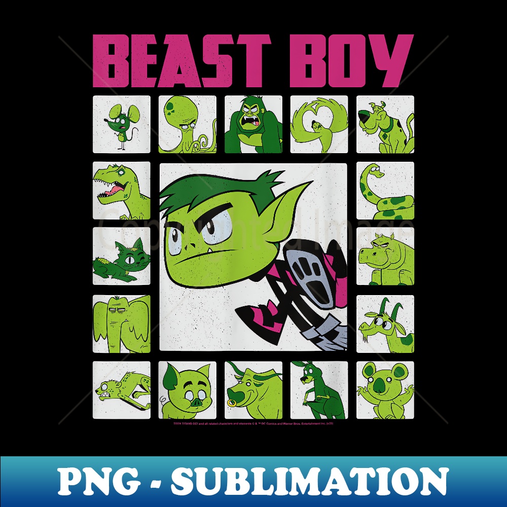 DC Comics n Titans Go! Beast Boy Box Up - Signature Sublimat | Inspire ...