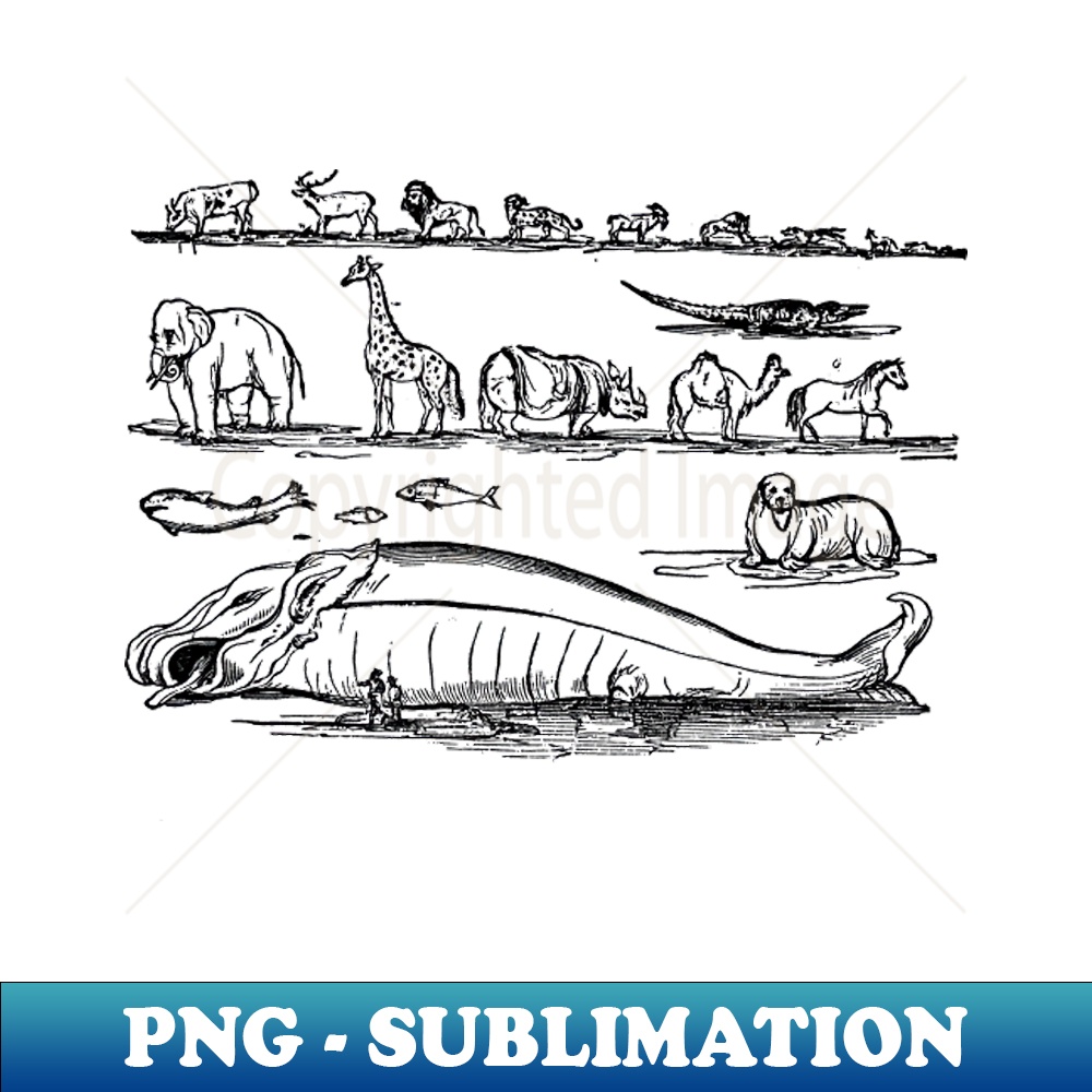 Animal Size - Sublimation-Ready PNG File - Perfect for Subli | Inspire ...